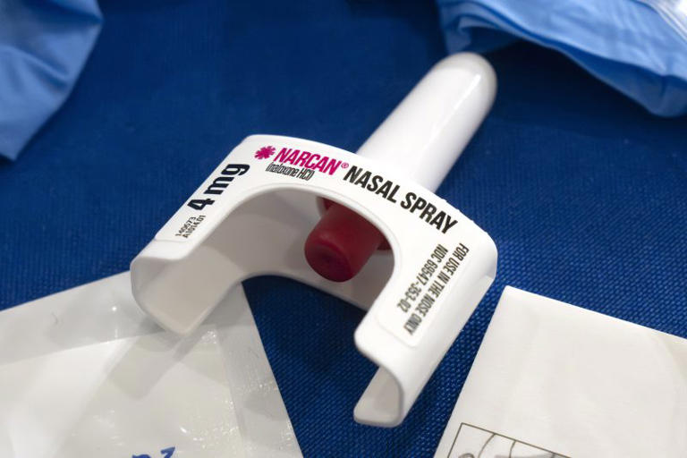 Schenectady Co. to hold free naloxone trainings in April Schenectady Co. to hold free naloxone trainings in April
