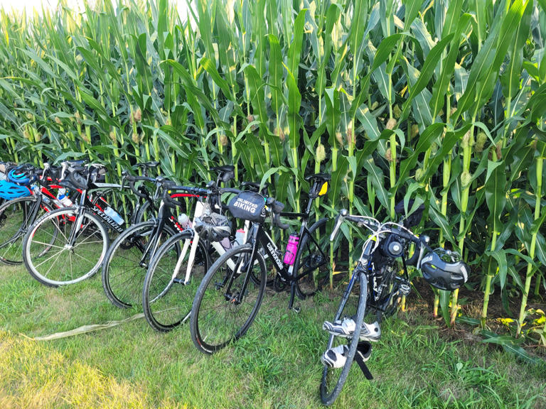 What is corn sweat? How corn causes humidity in Iowa.