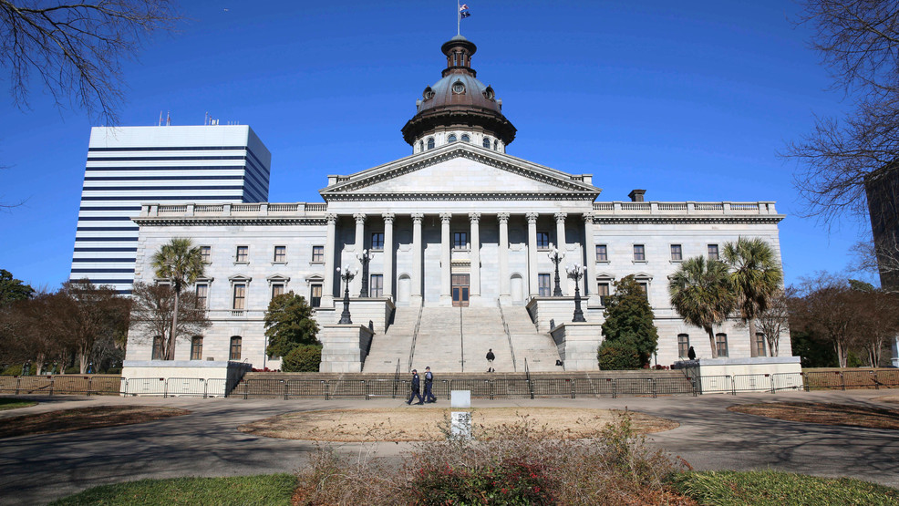 SC's 2025 legislative session starts in 1 week. What are lawmakers' top ...
