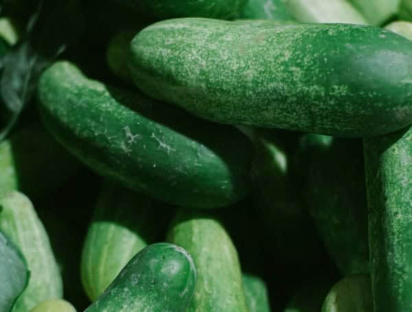 Florida Woman Files Lawsuit After Alleged Salmonella Infection From ... Florida Woman Files Lawsuit After Alleged Salmonella Infection From ...