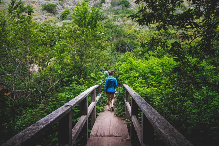 18 Best Hikes in Monterey to Tackle!