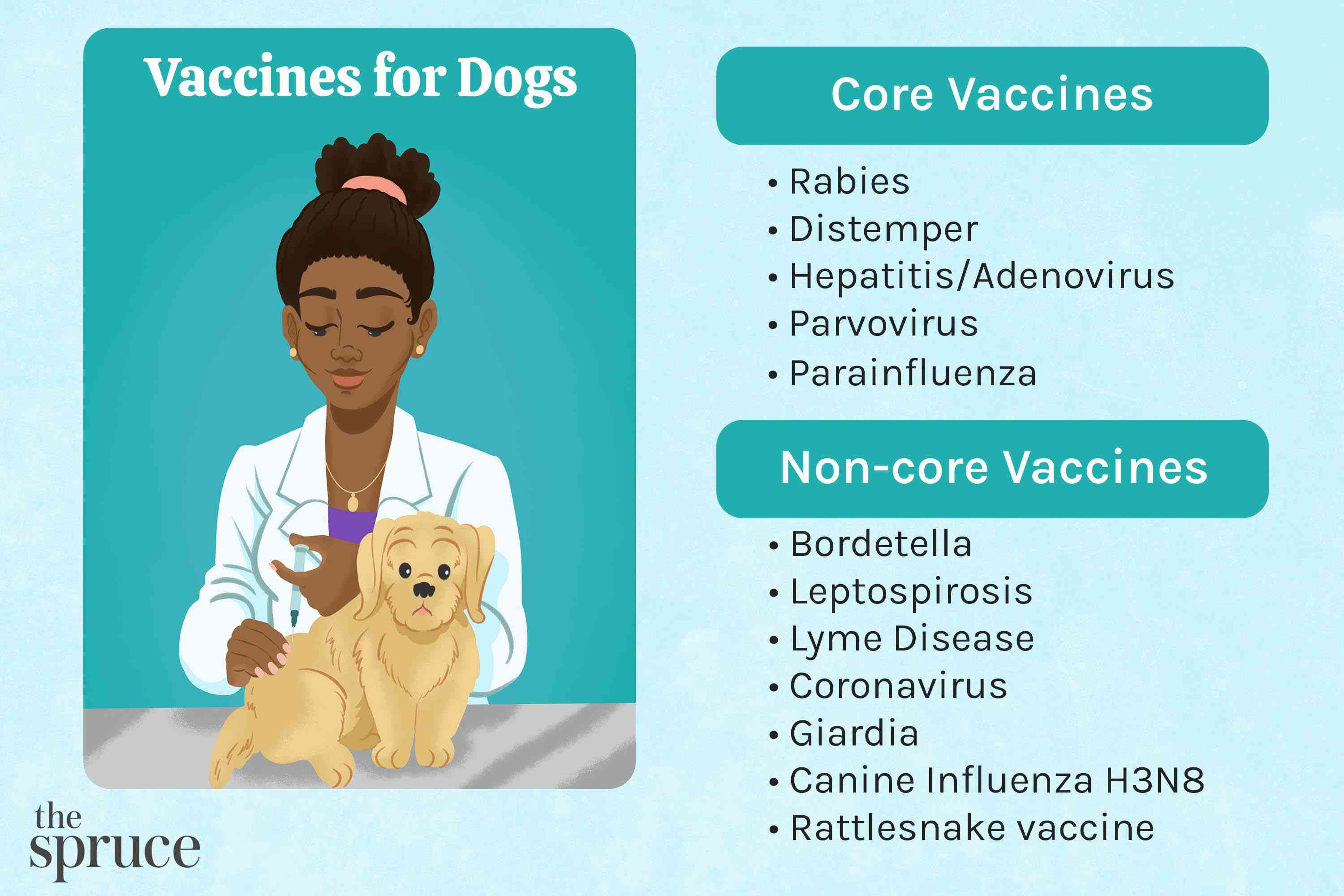 Comprehensive Guide to Essential Dog Vaccines