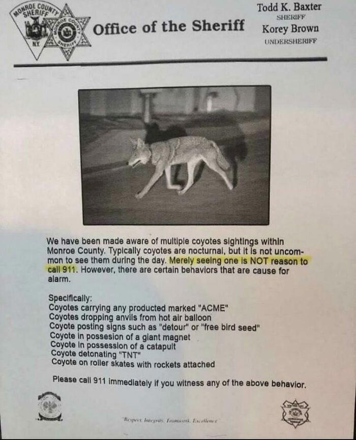 50 Ingenious Signs That May Leave Your Sides Hurting From Laughter (New ...