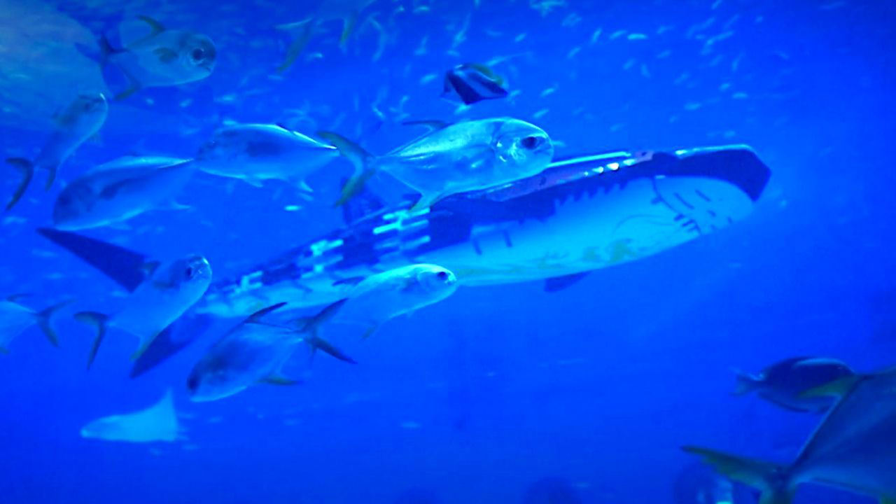 China unveils world's first intelligent robotic whale shark China unveils world's first intelligent robotic whale shark