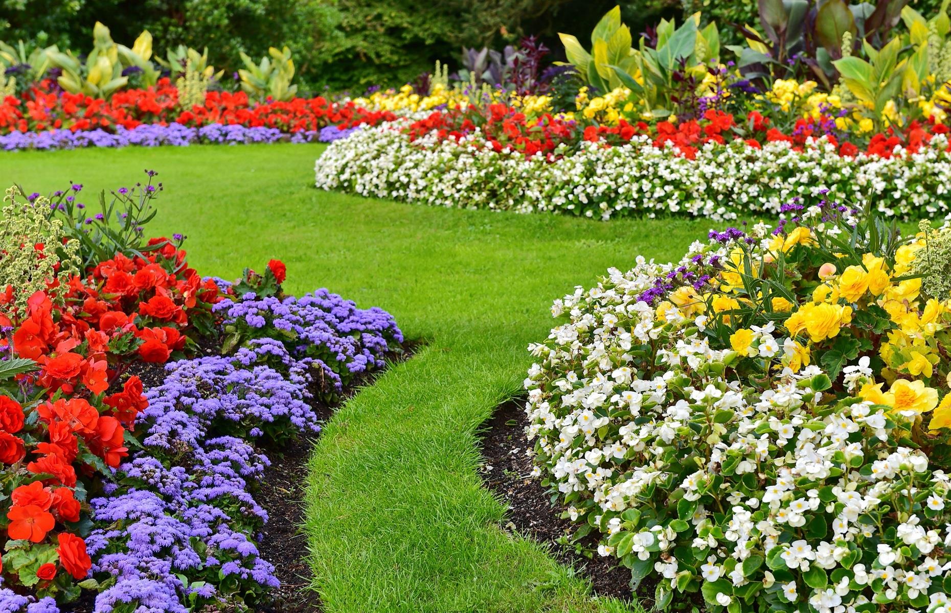 10 garden features people regret, and what to do instead