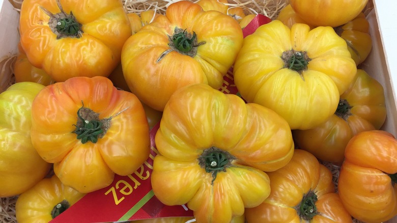 What Are Pineapple Tomatoes And How Do You Best Use Them?