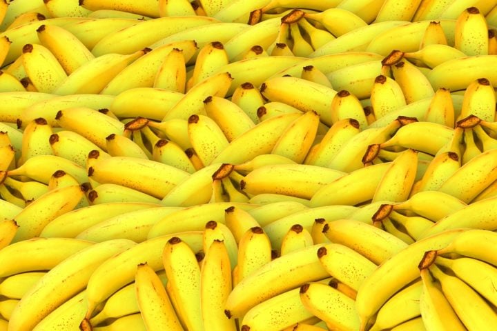 Banana nanica pode ser extinta; saiba o que pode salvar a fruta
