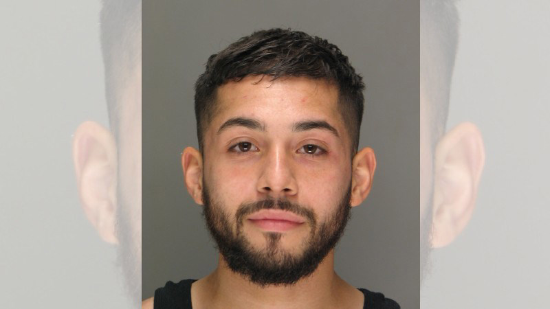 Warwick man facing animal cruelty charges after dead, emaciated dogs ... Warwick man facing animal cruelty charges after dead, emaciated dogs ...