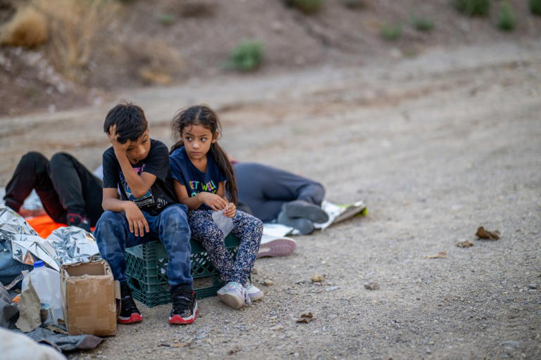 ICE unable to track nearly 300K immigrant children: DHS report ICE unable to track nearly 300K immigrant children: DHS report