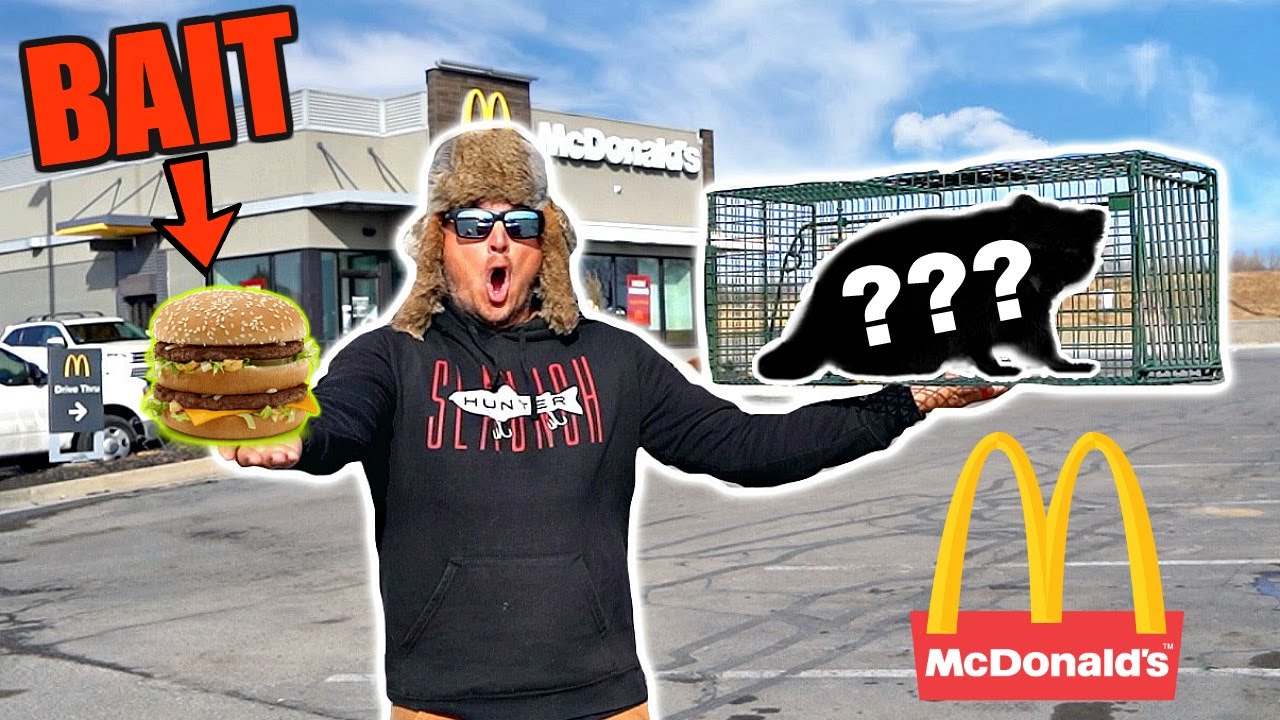 How I Removed a Nuisance Animal from My Backyard