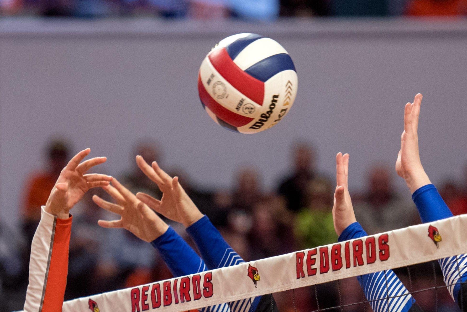 Morton JHS leads 10 Peoria-area volleyball teams at IESA state finals