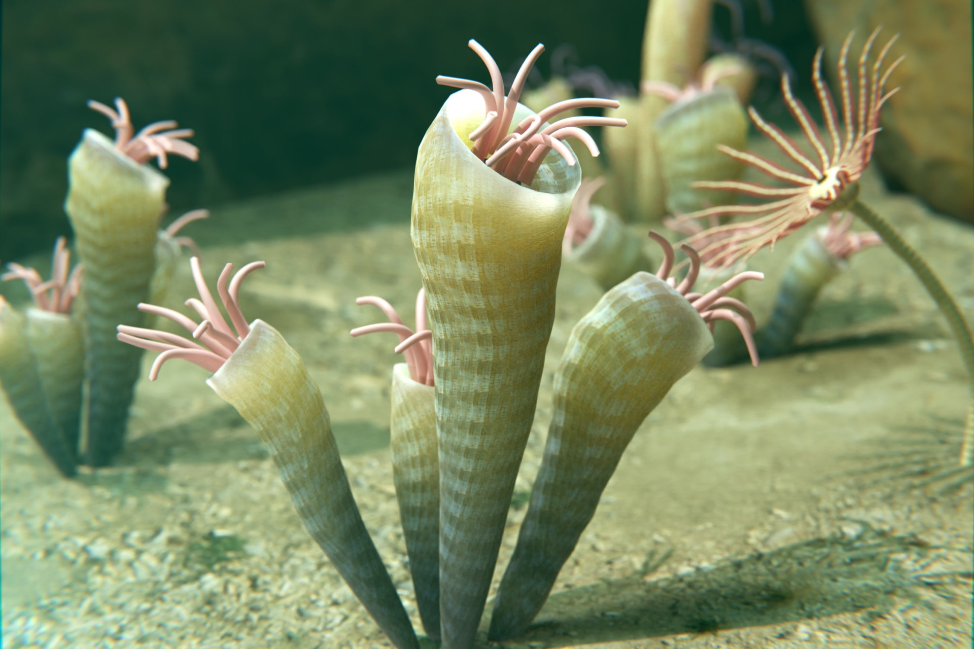 Zijn we aan het uitsterven?