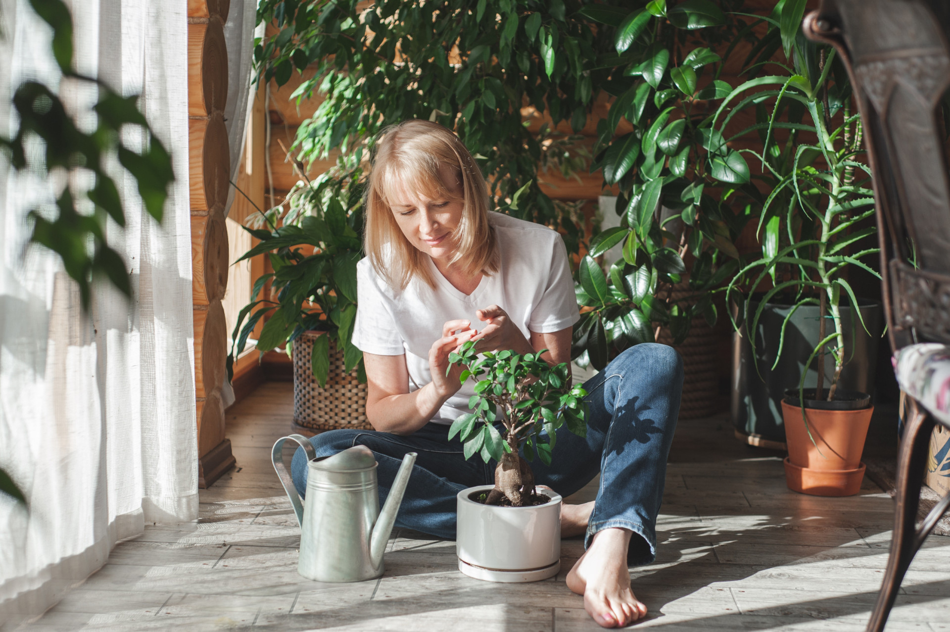 Prenez soin de vos plantes d'intérieur avec ces conseils