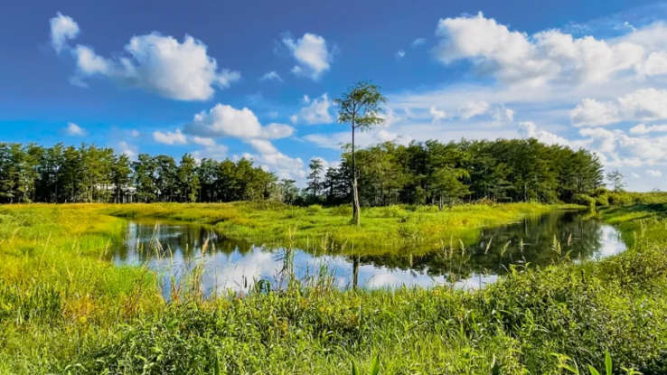 20 Reasons Why Young Families Are Opting for Smaller, More Efficient Homes 20 Reasons Why Young Families Are Opting for Smaller, More Efficient Homes