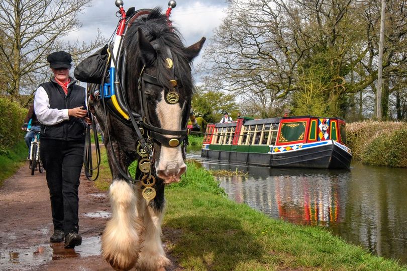 Major housing near picturesque Devon canal gets go-ahead