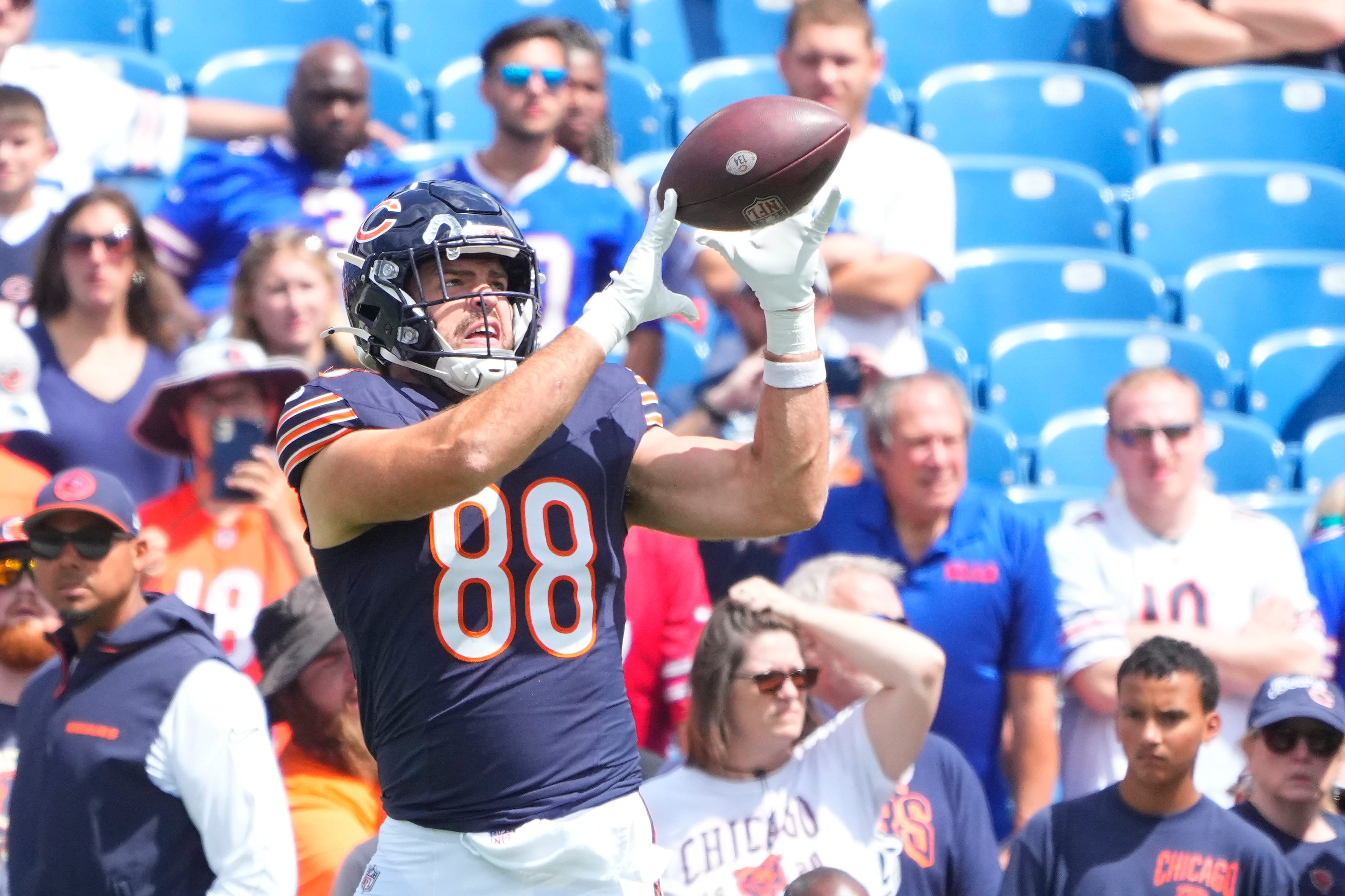 Bears re-sign TE Stephen Carlson