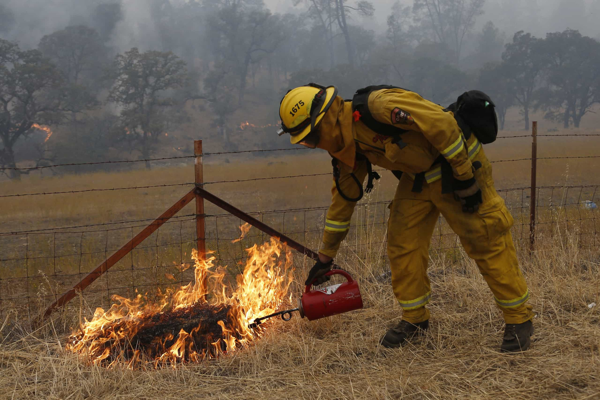 Wildfires: What we can learn from indigenous fire practice