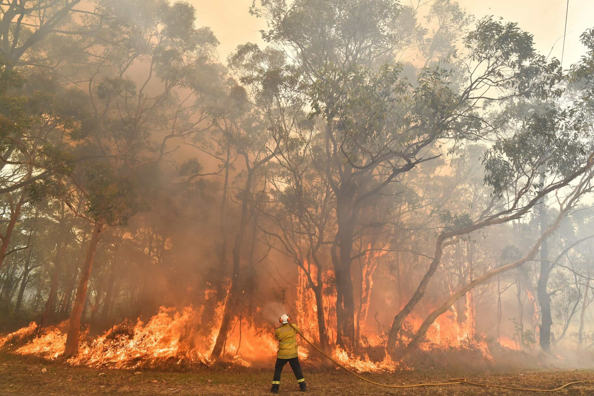 Wildfires: what indigenous fire methods teach us