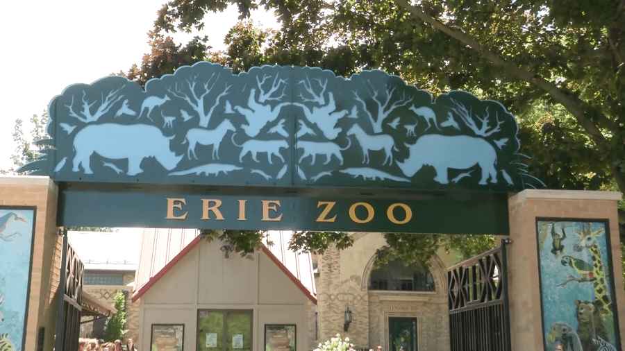 Erie Zoo announces last call for Mane Event tickets