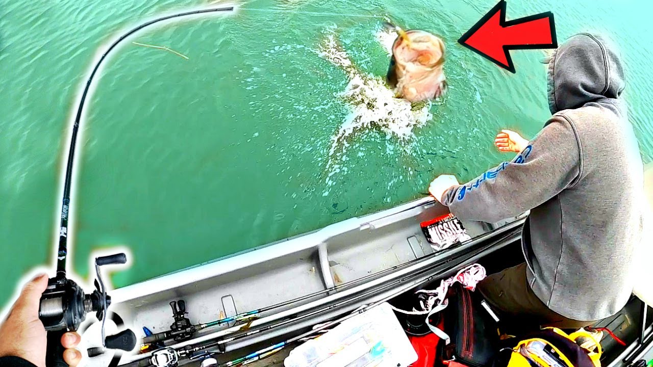 This pond is full of giant mutant bass you must see