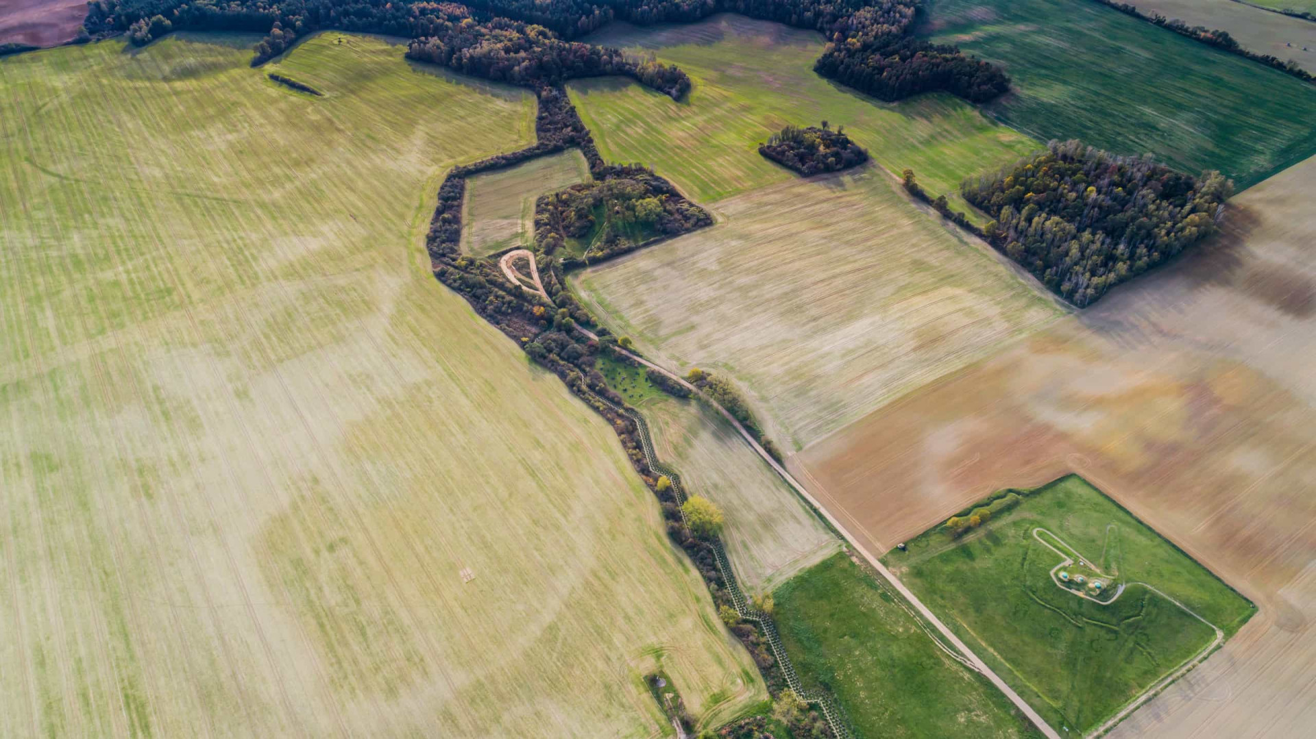 Hoe de geheime tunnels van de Duitsers vleermuizen helpen overleven