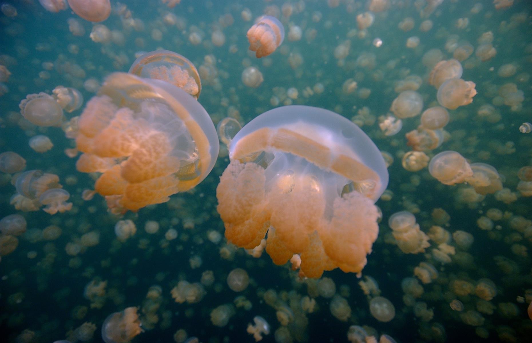 The world's weirdest lakes you have to see to believe