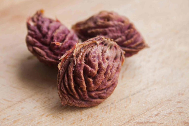 How to plant a peach seed and grow your own tree at home