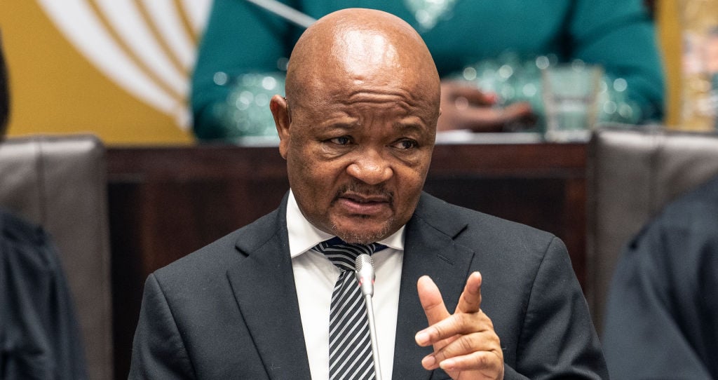 Police Minister laments AfriForum's US visit
