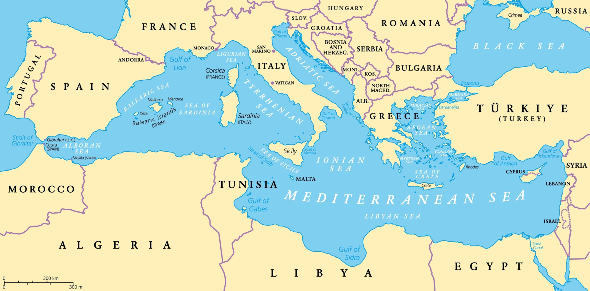 Experts say tsunami in Europe is 100% certain