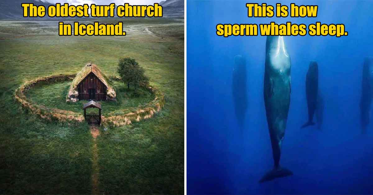22 Awesome Images to Pique Your Curiosity