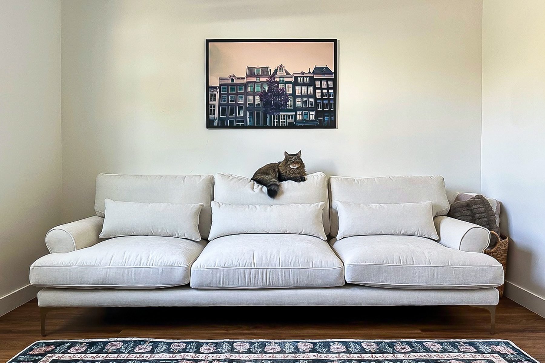 Interior Define Sofa Review: My Feline Put This Sleek Cat-Proof Couch ...