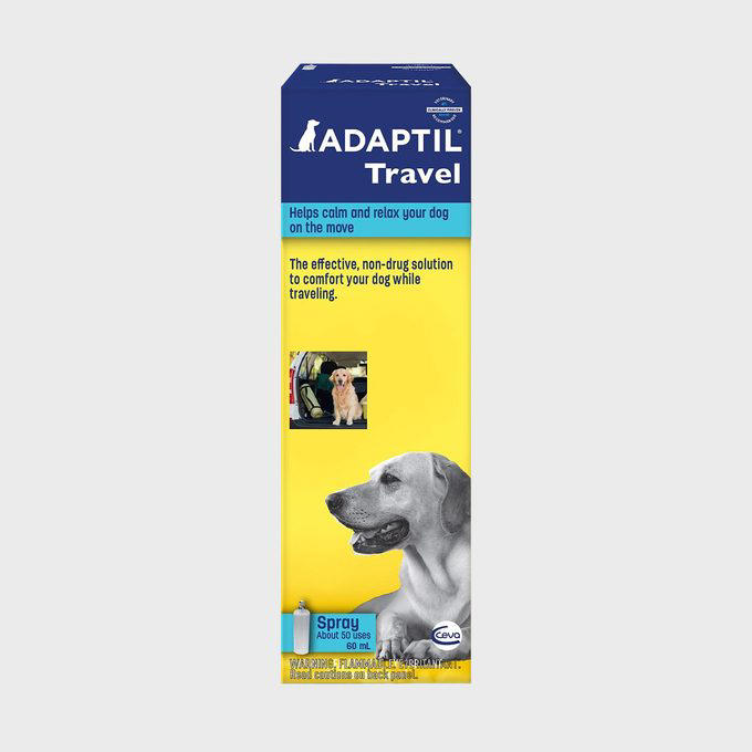 11 Products That Could Help Your Dog’s Anxiety