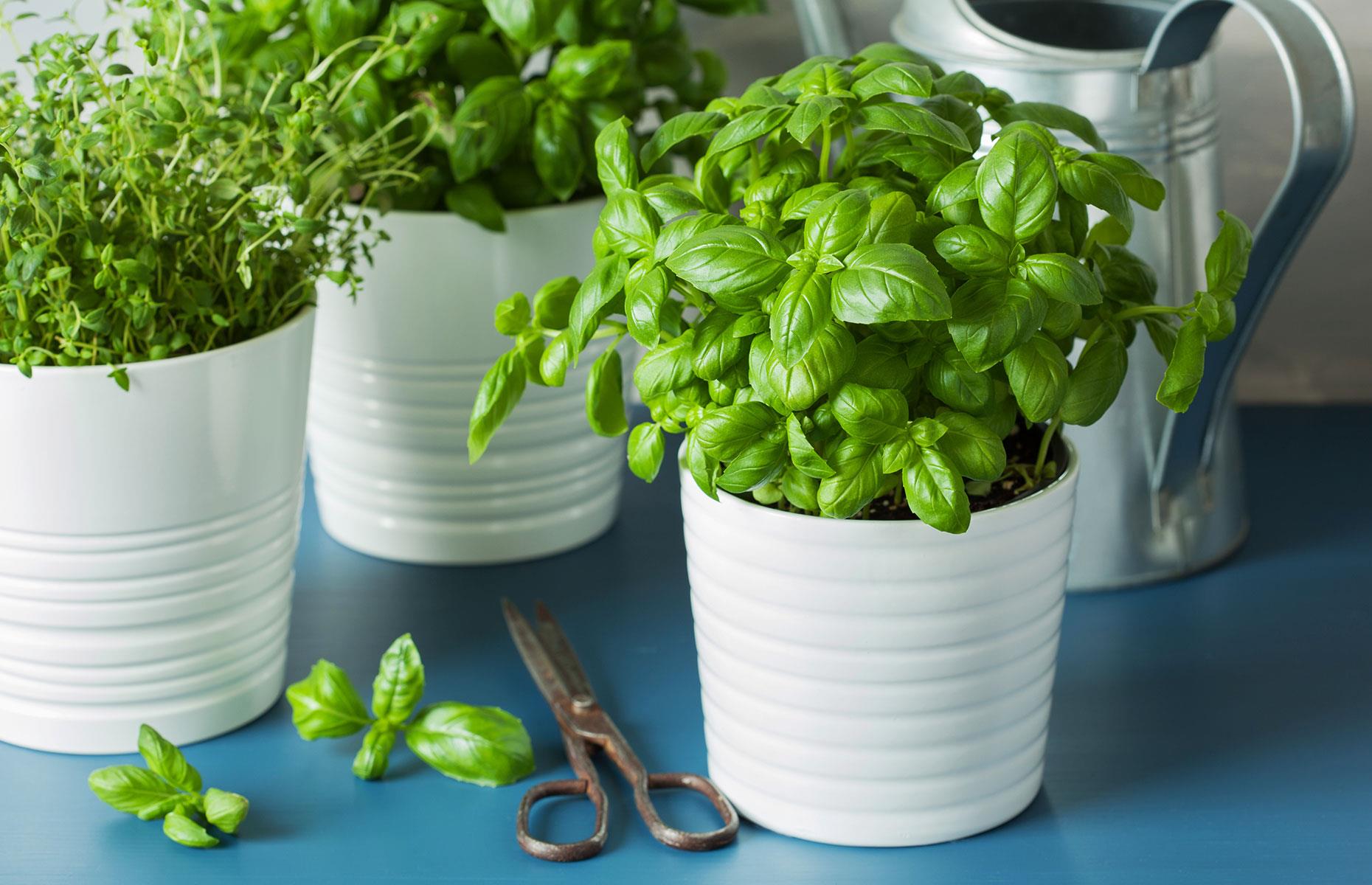 28 healthy eating habits from around the world