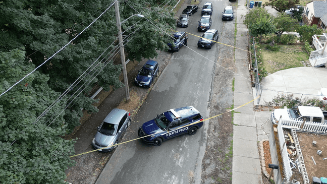 Man charged with murder of 80-year-old Seattle dog walker deemed ...