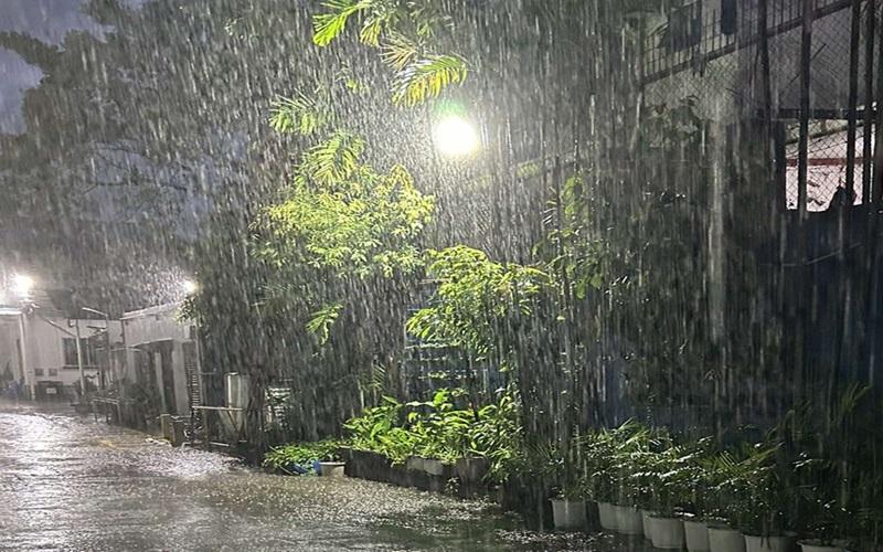 Amihan, shear line to bring rains over portions of PH