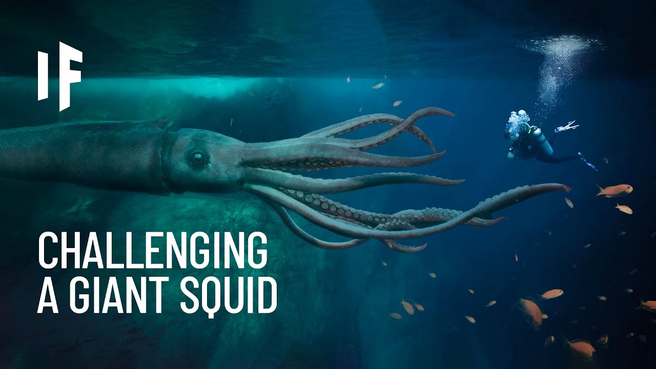 Attacked by a Giant Squid: What Happens?
