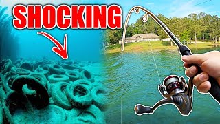 Toxic underwater tires lure schools of big fish