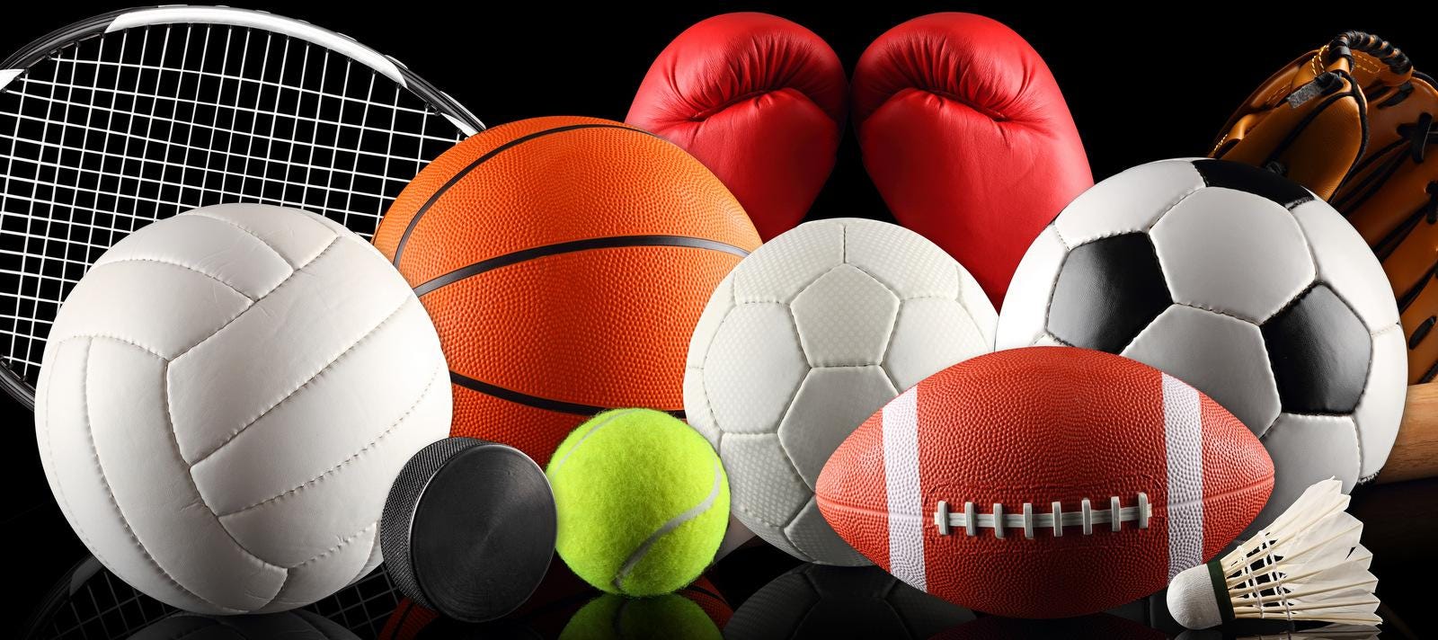 2024 Southern Tier Athletic Conference fall all-star selections