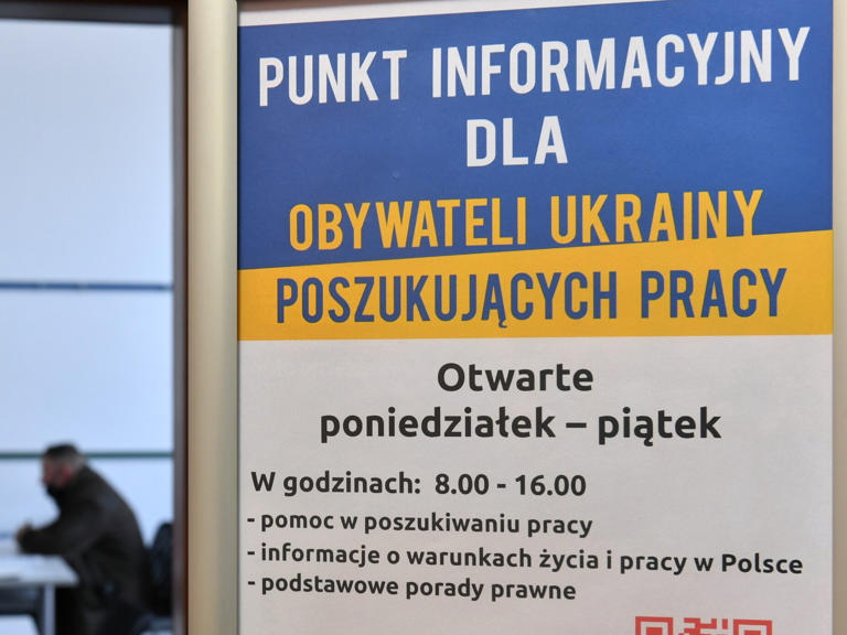 Policzono, ile Ukraińcy dają polskiej gospodarce. Jest spore zaskoczenie