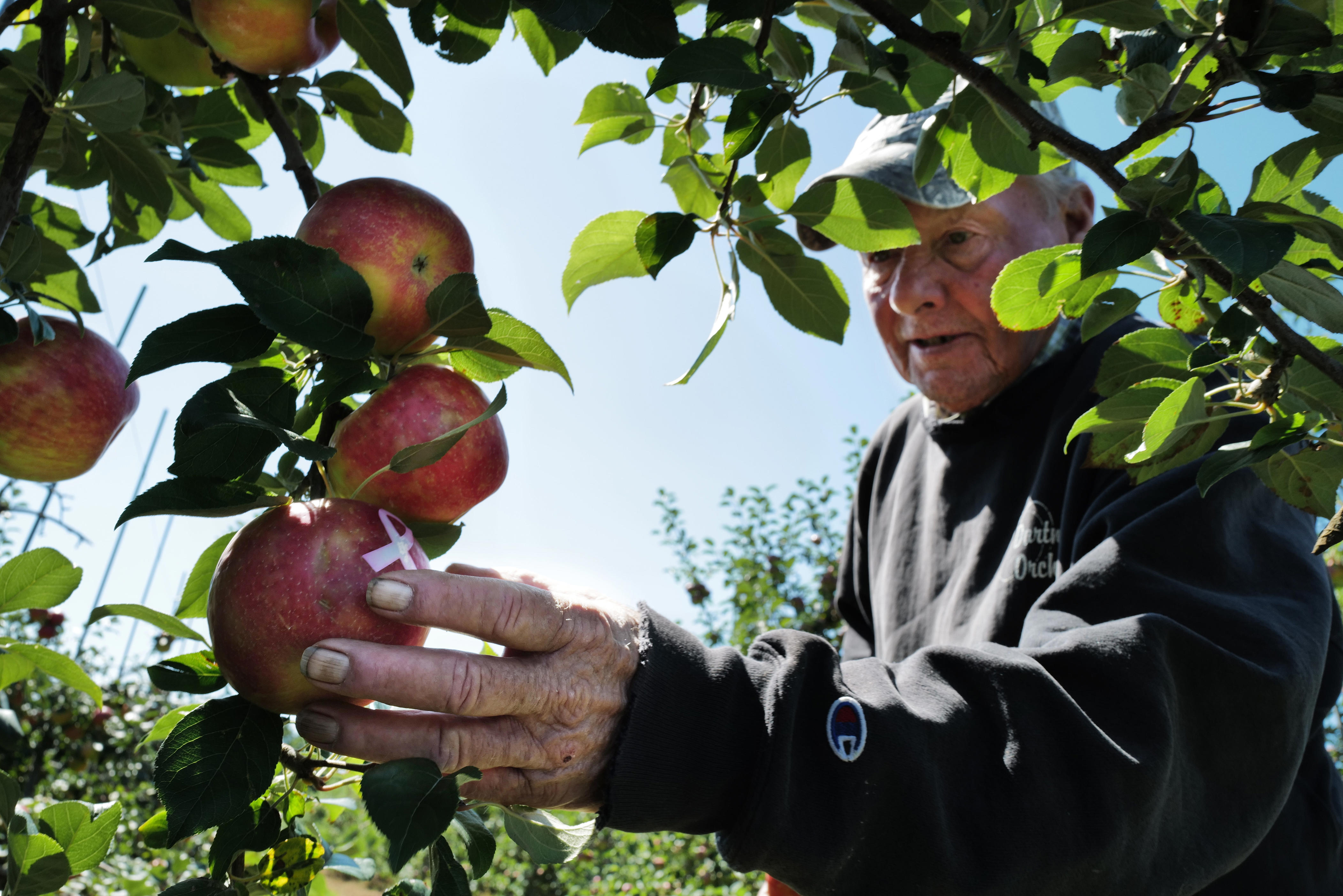Best places to go apple-picking on the SouthCoast: Start your autumn at ...