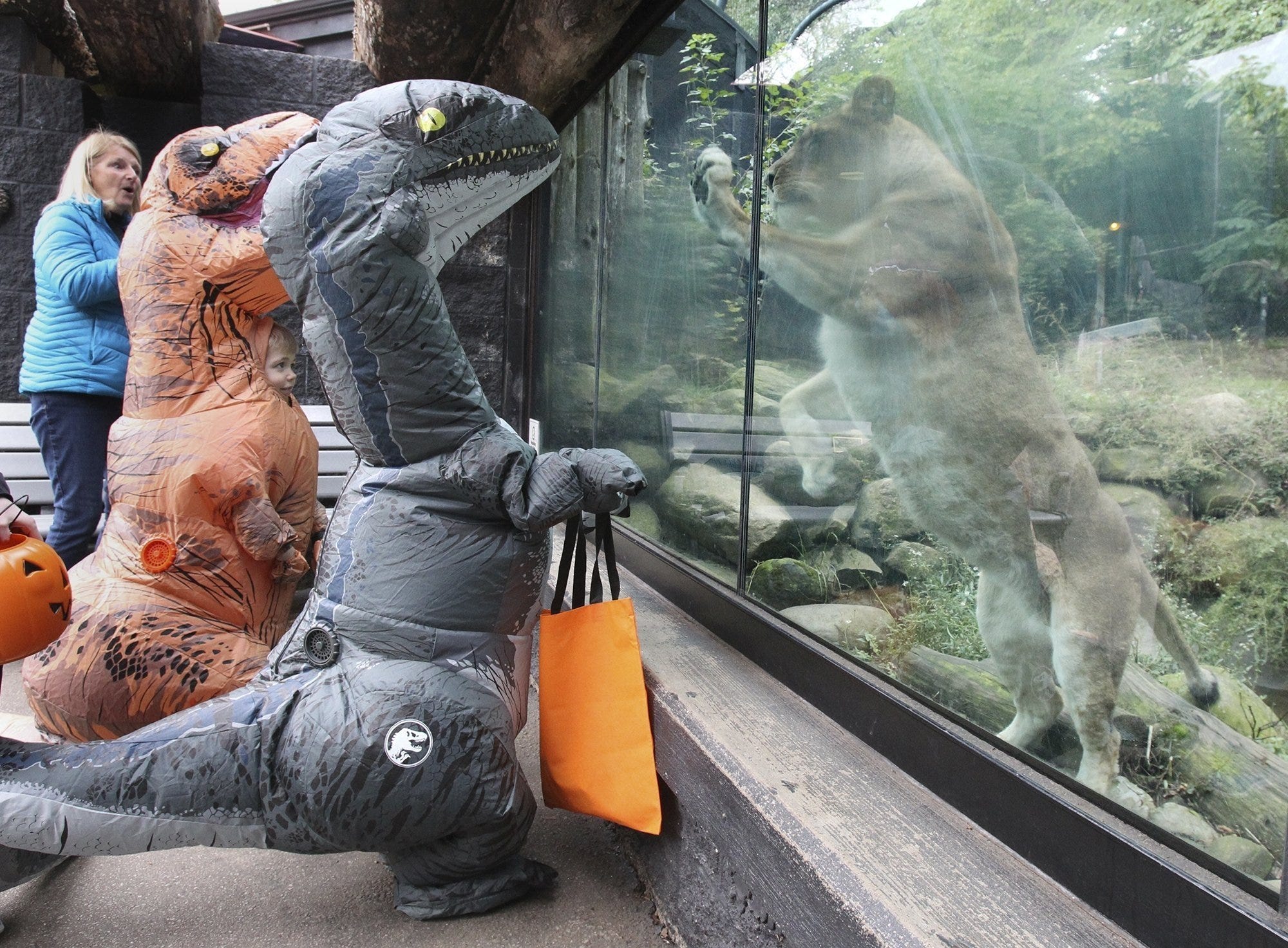 Everything you need to know about the Akron Zoo's Boo at the Zoo