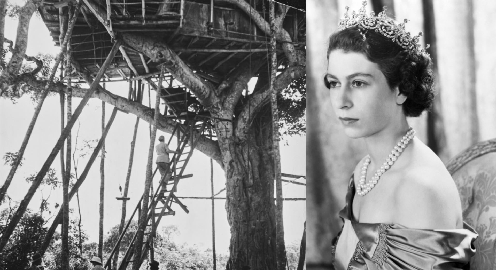 Exploring the tree house hotel where Princess Elizabeth learned she'd ...