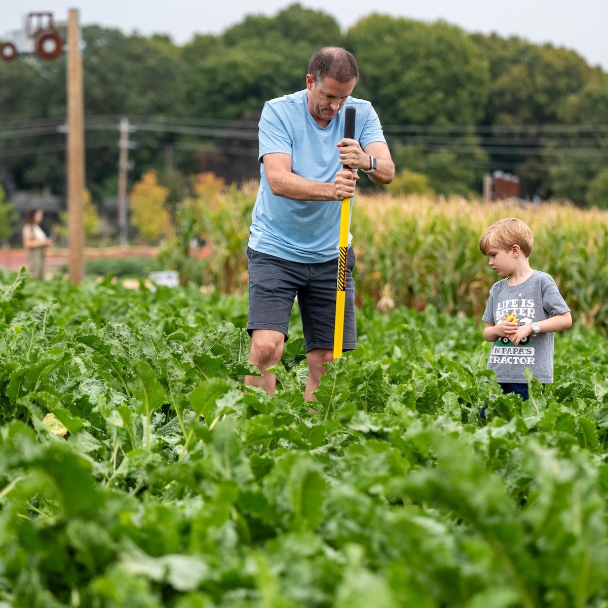 Field Fest at the Minnesota Landscape Arboretum