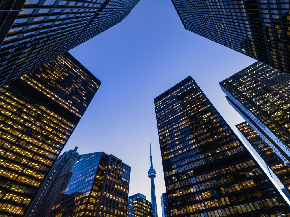 Torontonians encouraged to protect birds during city's Lights Out campaign Torontonians encouraged to protect birds during city's Lights Out campaign
