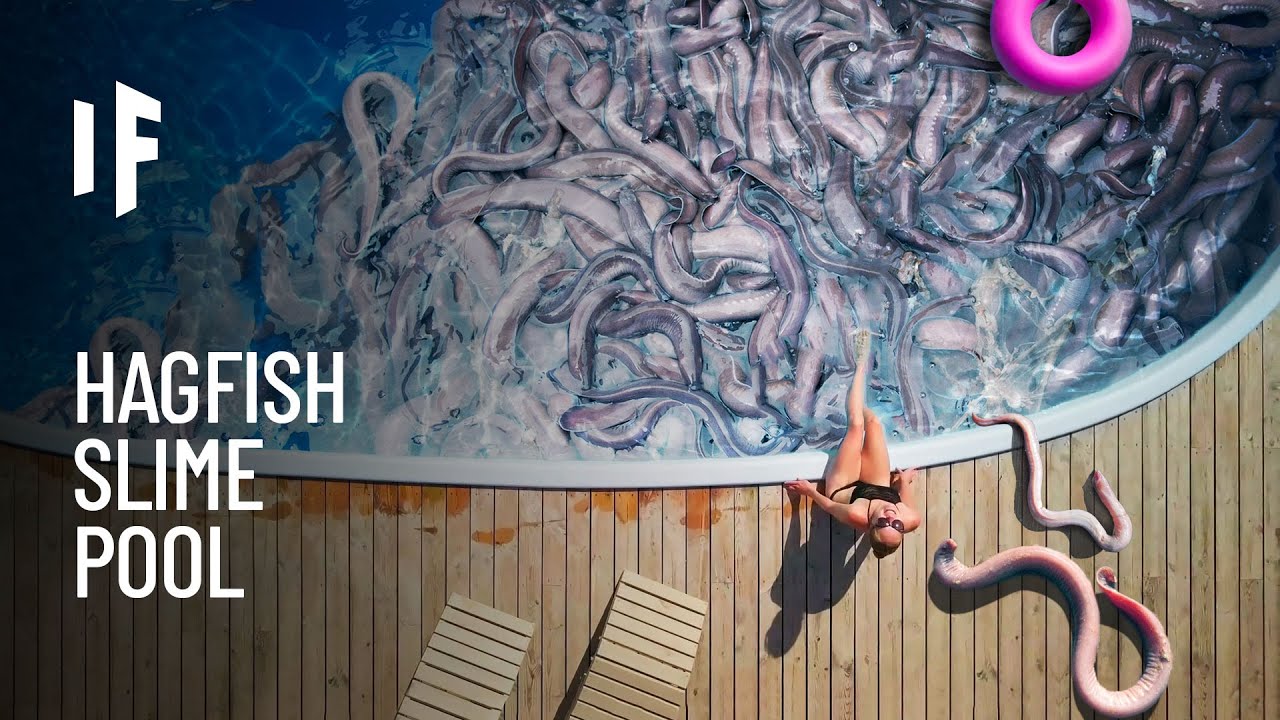 Imagine falling into a pool of hagfish and surviving the slime