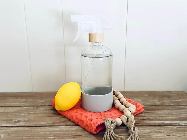 Easy 3-Ingredient DIY Glass Cleaner Recipe