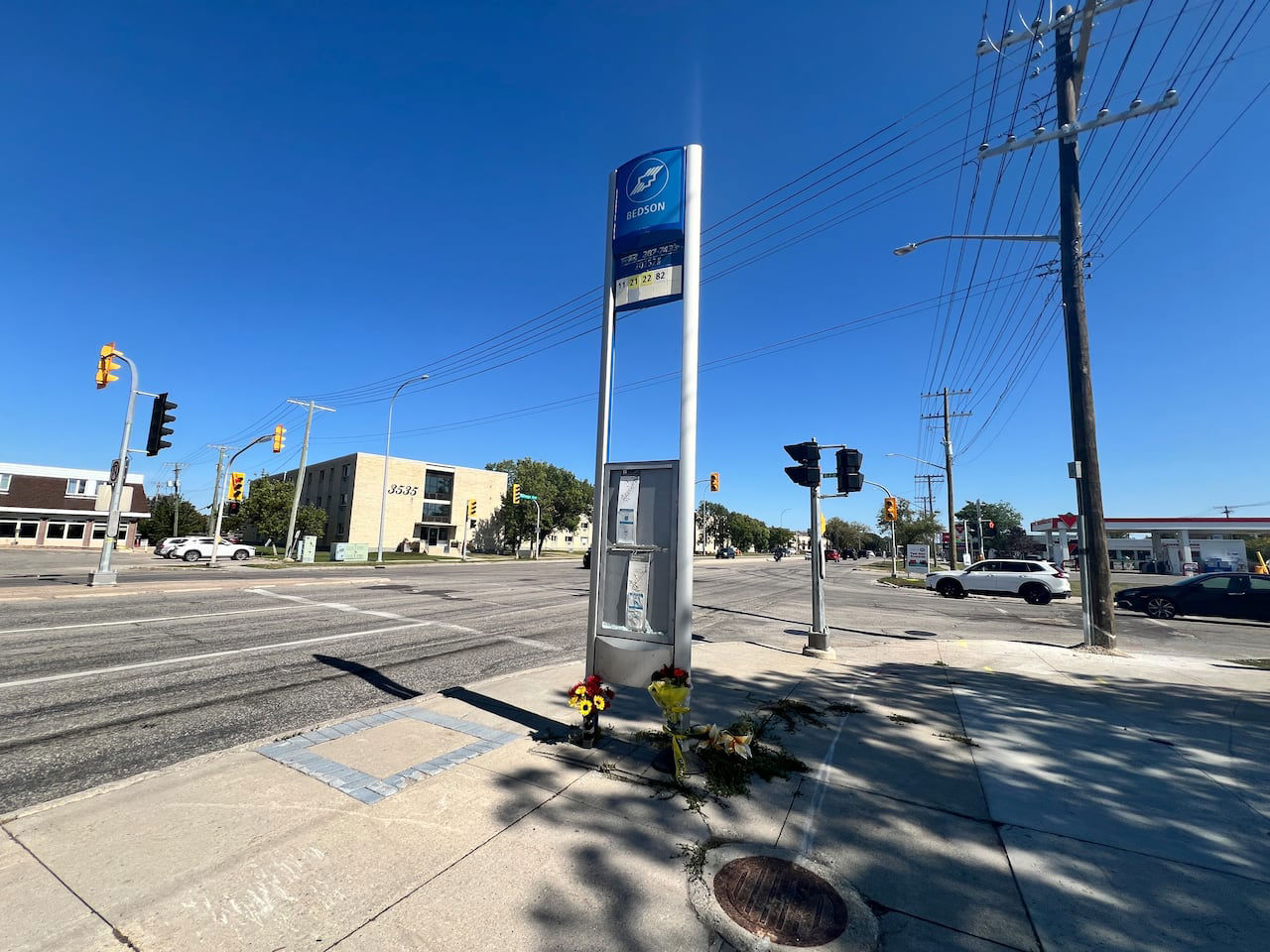 Winnipeg police identify victim of fatal Portage Avenue collision as 40 ... Winnipeg police identify victim of fatal Portage Avenue collision as 40 ...