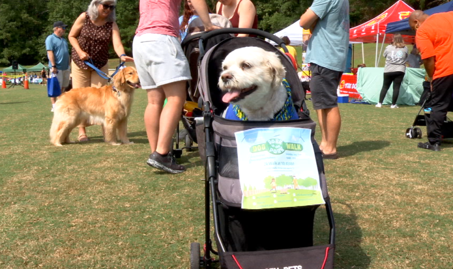 Henrico to host third annual dog walk event to support homeless animals