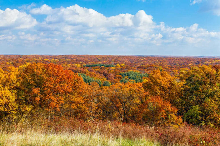 Best Places to See Fall Colors in the Midwest