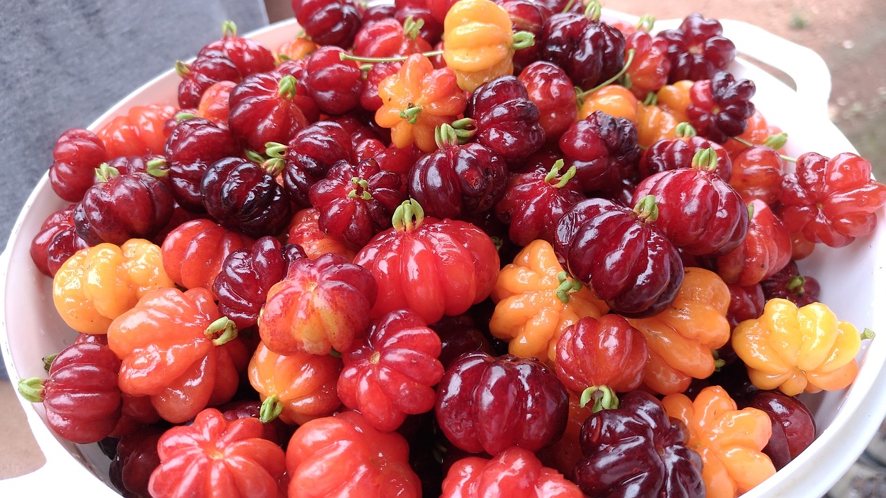 Fruta azedinha tem polifenóis que fazem bem à pele; descubra